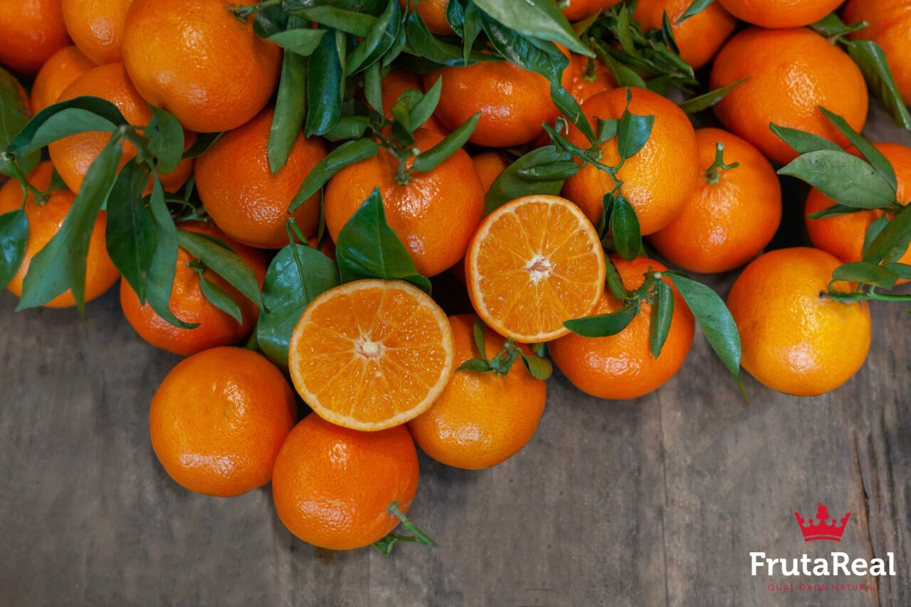 Galeria – Fruta Real