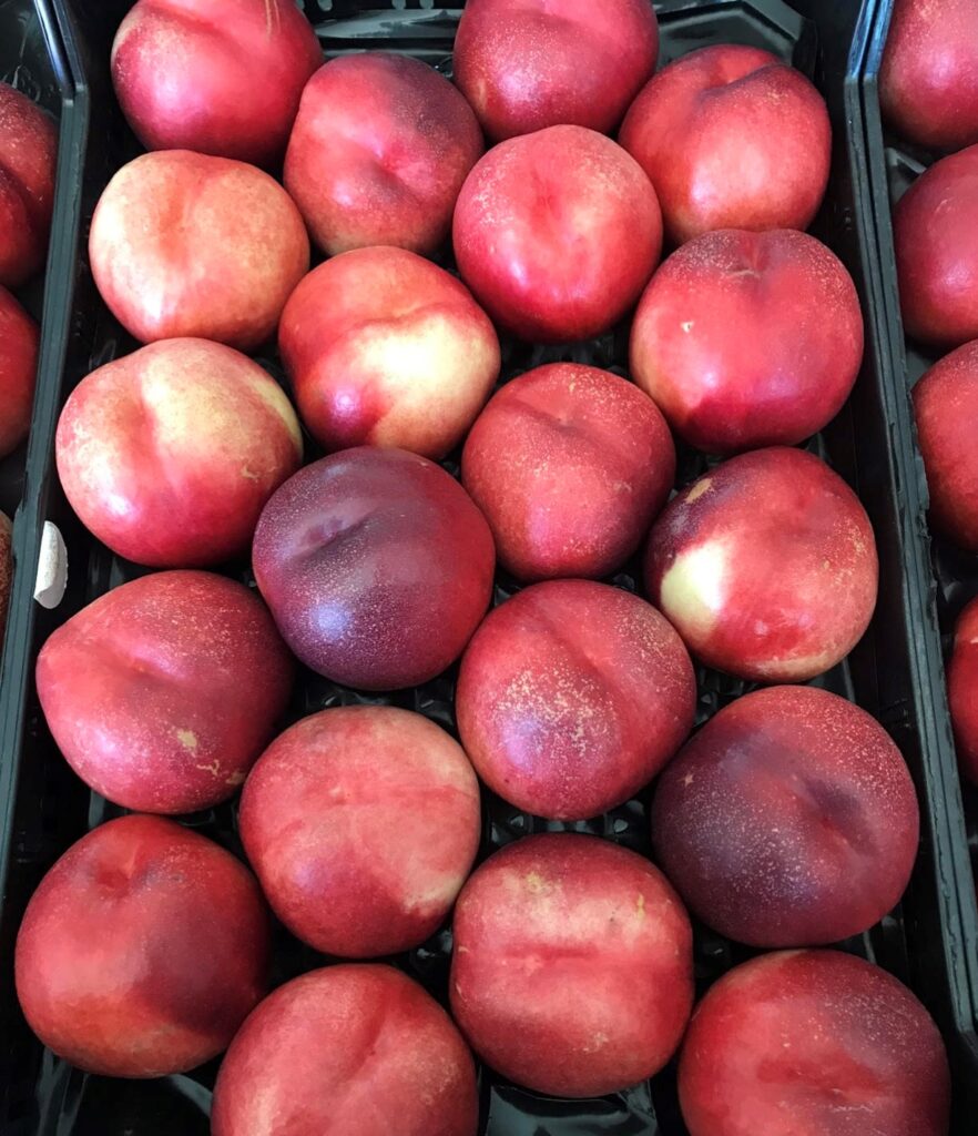 Galeria – Fruta Real